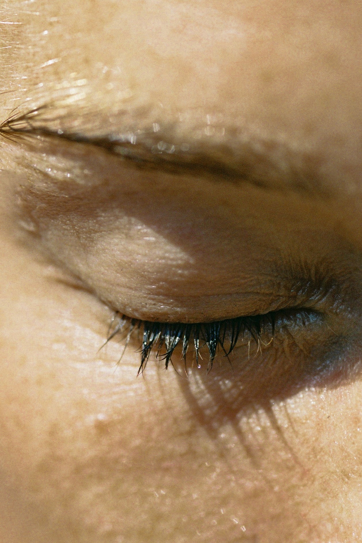 Waves and the Wild | Canadian Swimwear and Bikinis